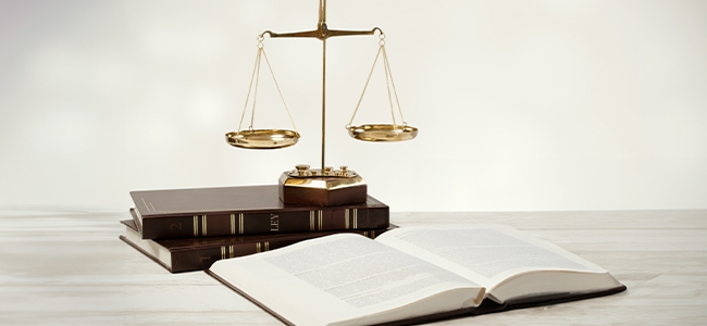 Facultades Del Congreso De La Unión Derecho Constitucional Justia
